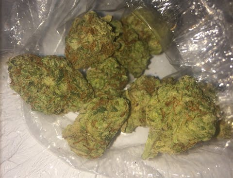 Sonoma Coma Weed Strain Information | Leafly