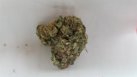 Sour Apple aka Sour Apple Diesel Weed Strain Information | Leafly