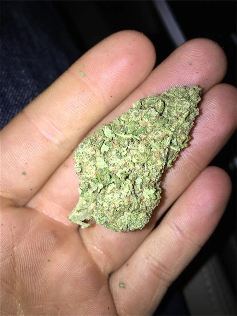 Photos of Sour Candy Weed Strain Buds | Leafly