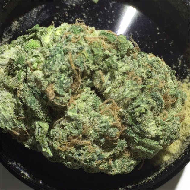 Photos of Sour Candy Weed Strain Buds | Leafly