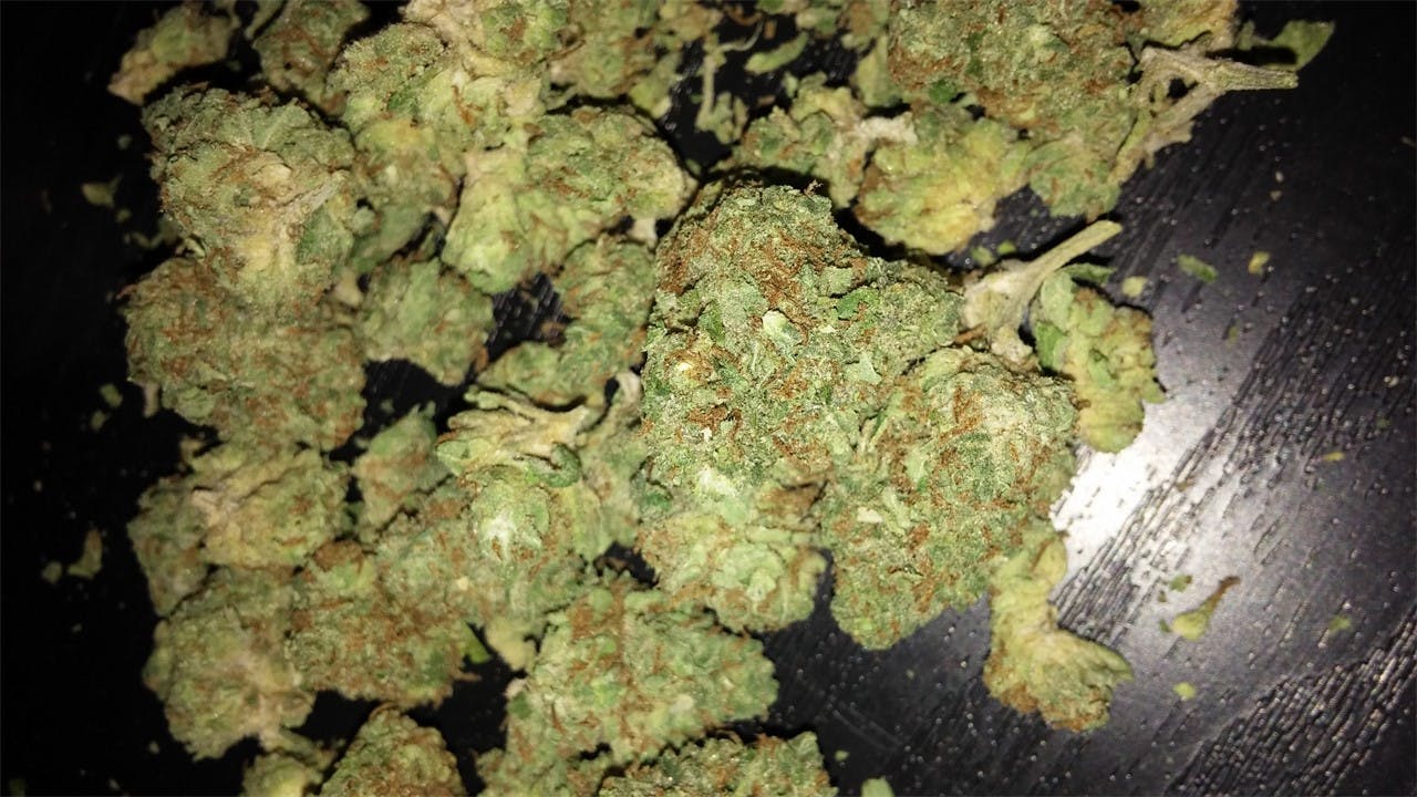 Photos of Sour Candy Weed Strain Buds | Leafly