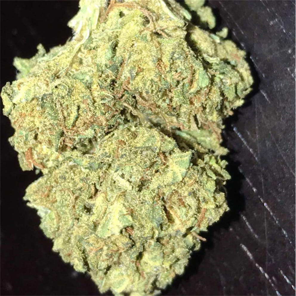 Photos of Sour Cheese Weed Strain Buds | Leafly