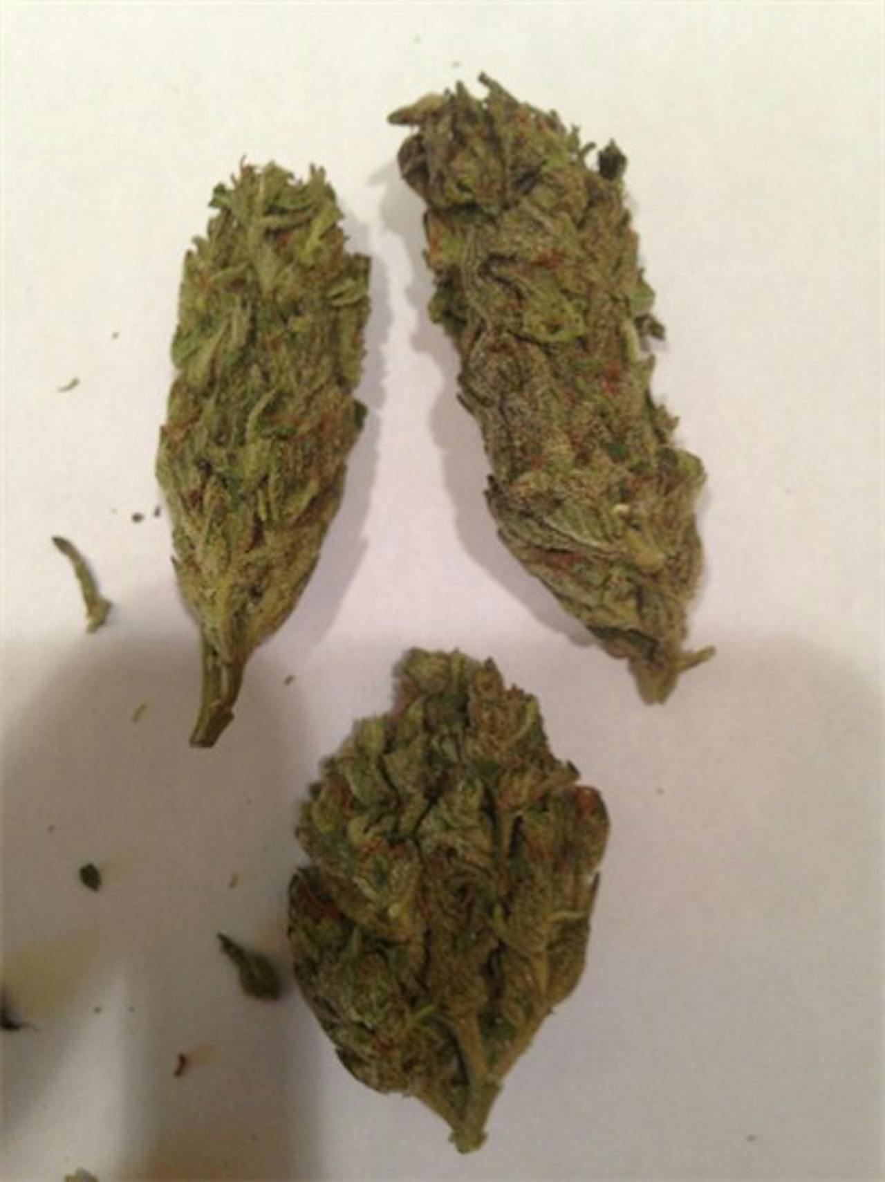 Photos of Sour Chocolate Weed Strain Buds | Leafly