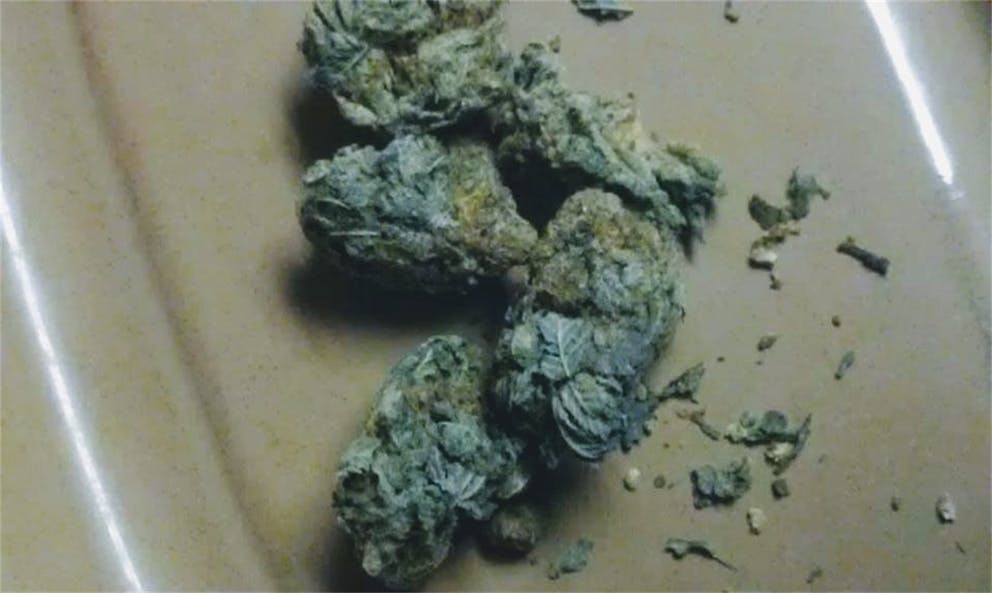 Photos of Sour Cookies Weed Strain Buds | Leafly