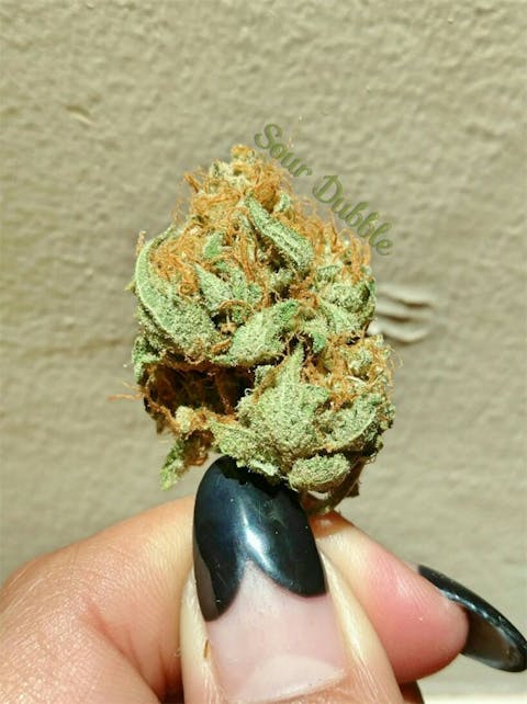 Sour Dubb aka Sour Dubble, Sour Double, Sour Dubb Dawg Weed Strain ...