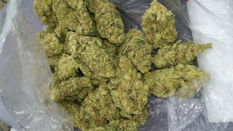 Sour Patch Kiss Weed Strain Information | Leafly