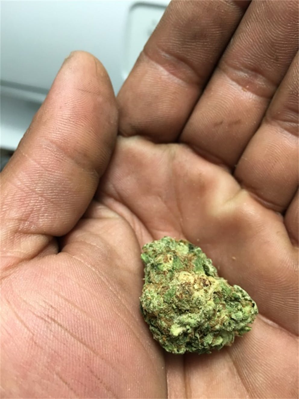 Photos of Sour Sunset Weed Strain Buds | Leafly