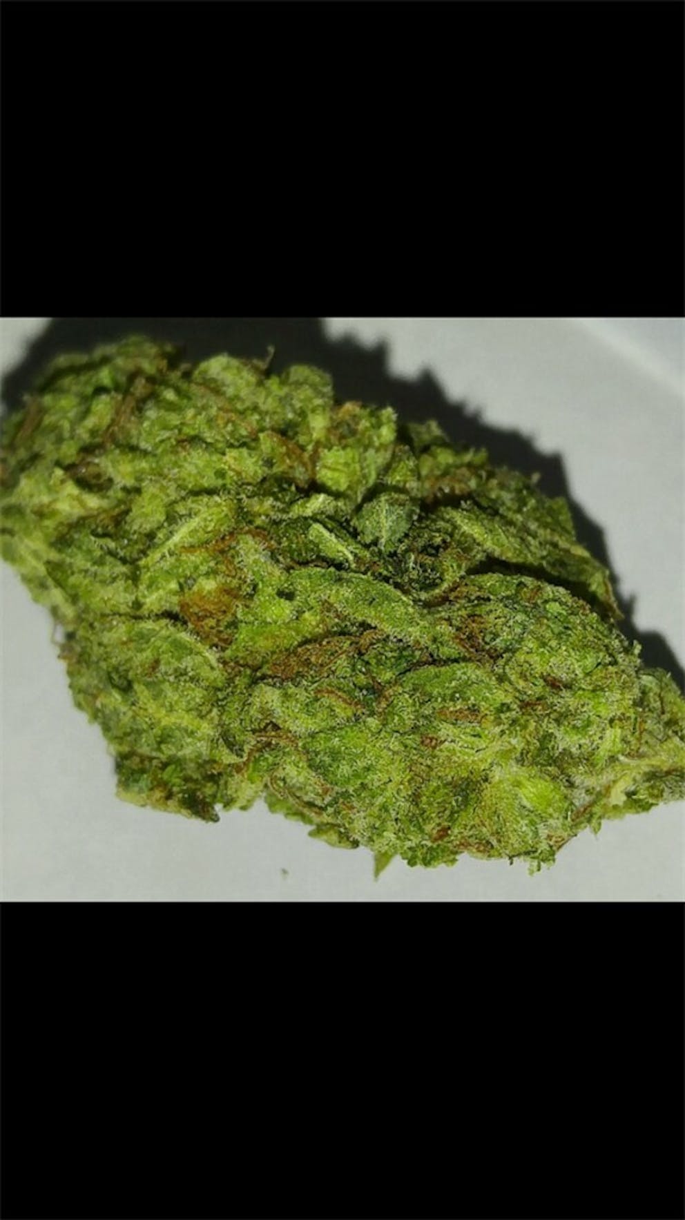 Photos of Sour Sunset Weed Strain Buds | Leafly