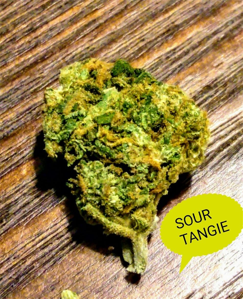 Photos of Sour Tangie Weed Strain Buds | Leafly