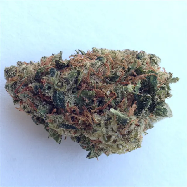 Photos of Sour Tangie Weed Strain Buds | Leafly