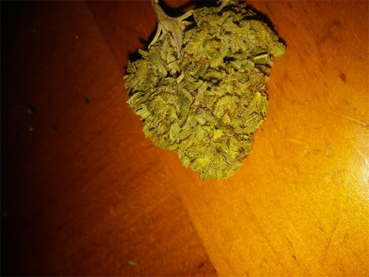 Photos of Sour Tsunami Weed Strain Buds | Leafly