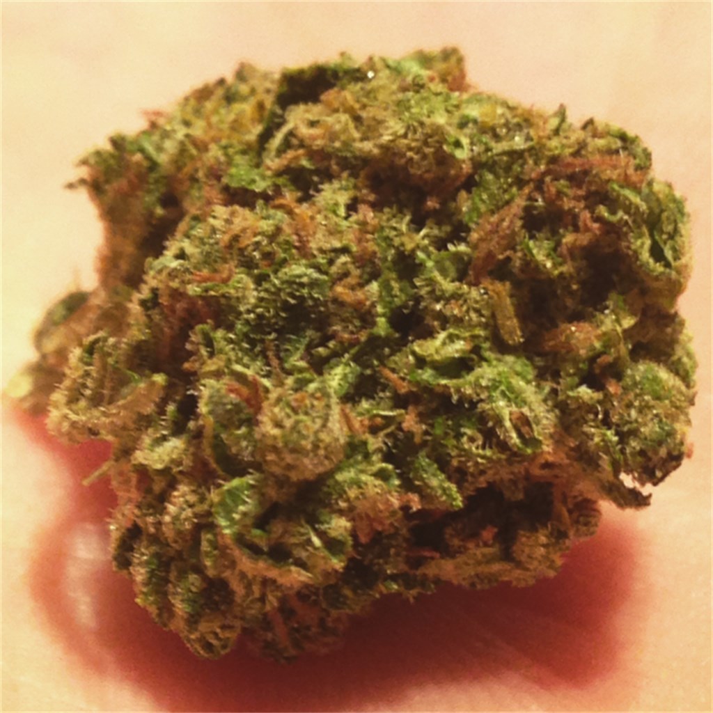 South American Weed VICE News On X: "The So Called “Paraguayo” Or