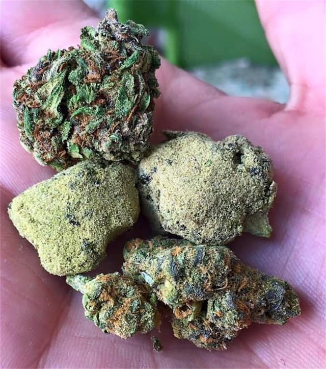 Photos of South Indian Indica Weed Strain Buds | Leafly