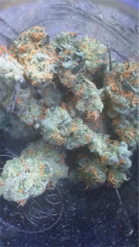 Space Bomb Weed Strain Information | Leafly