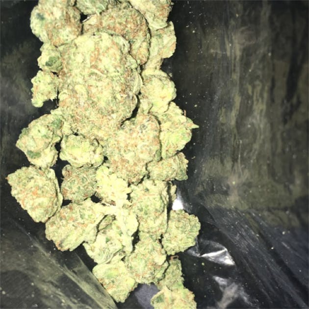 Photos of Star Master Kush Weed Strain Buds | Leafly