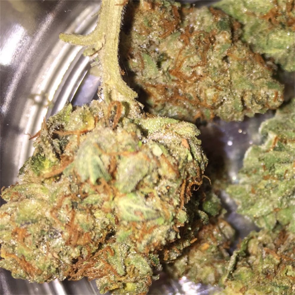 Photos of Stardawg Weed Strain Buds | Leafly