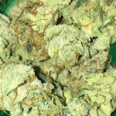 Starfighter Weed Strain Information | Leafly