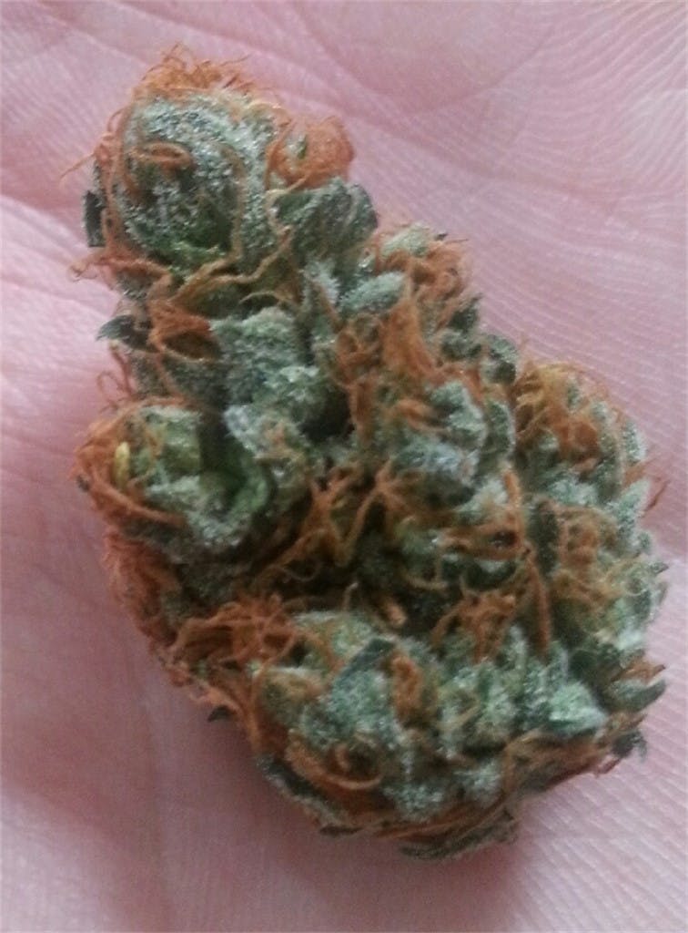 Stephen Hawking Kush aka SHK Weed Strain Information | Leafly