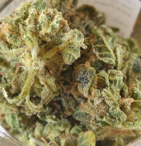 Strawberry Lemonade aka Mike's Strawberry Lemonade Weed Strain ...