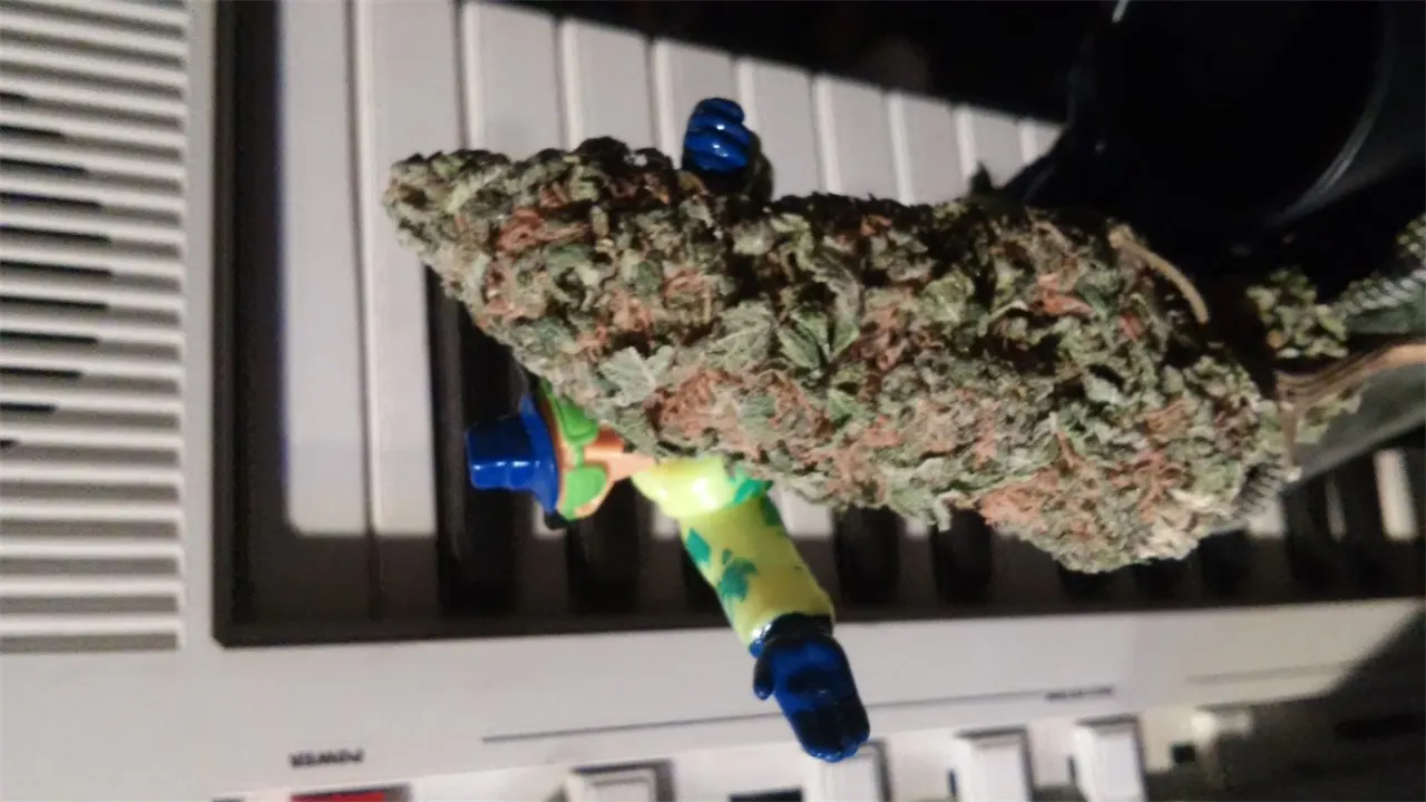 Photos of Strawberry Satori Weed Strain Buds | Leafly