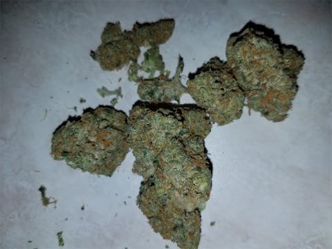 Sublime Weed Strain Information | Leafly