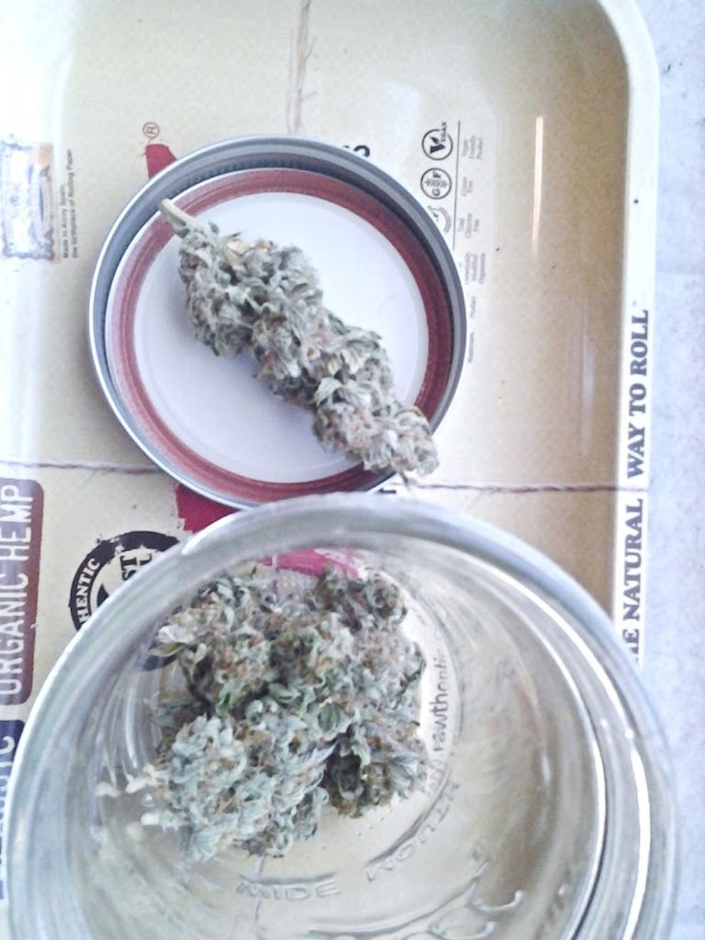 Photos of Sublime Weed Strain Buds | Leafly