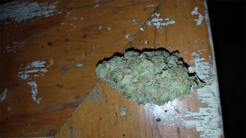 Sublime Weed Strain Information | Leafly