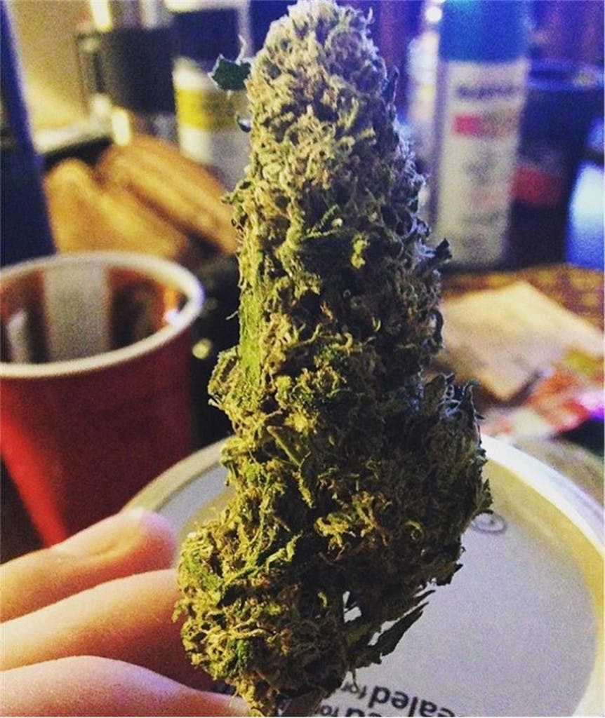 Photos of Sugar Black Rose Weed Strain Buds | Leafly