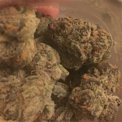 Sugar Cookie Weed Strain Information | Leafly