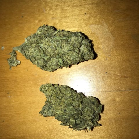 Sugar Cookie Weed Strain Information | Leafly