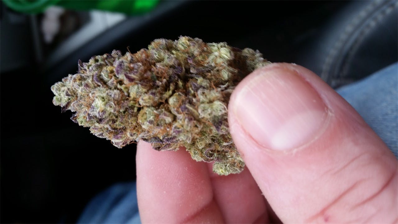 Sugar Plum Weed Strain Information | Leafly