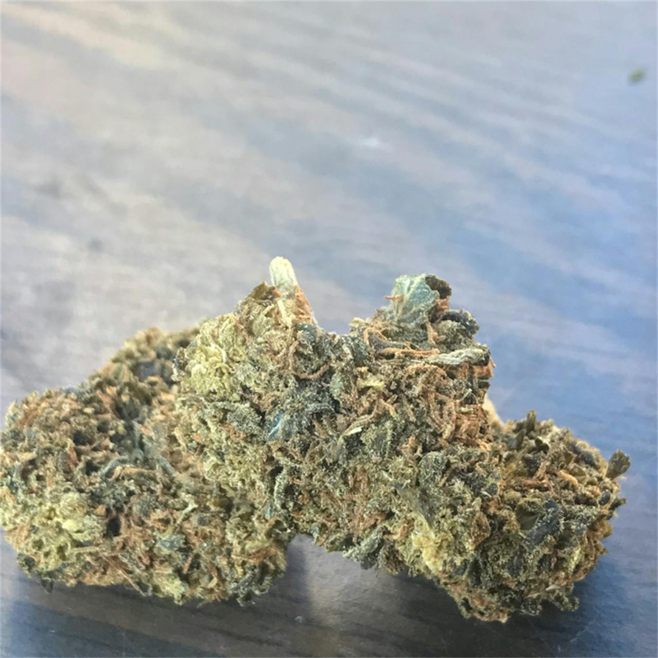 Photos of Sherbert Weed Strain Buds | Leafly