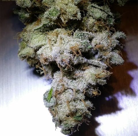 Sunshine #4 Weed Strain Information | Leafly