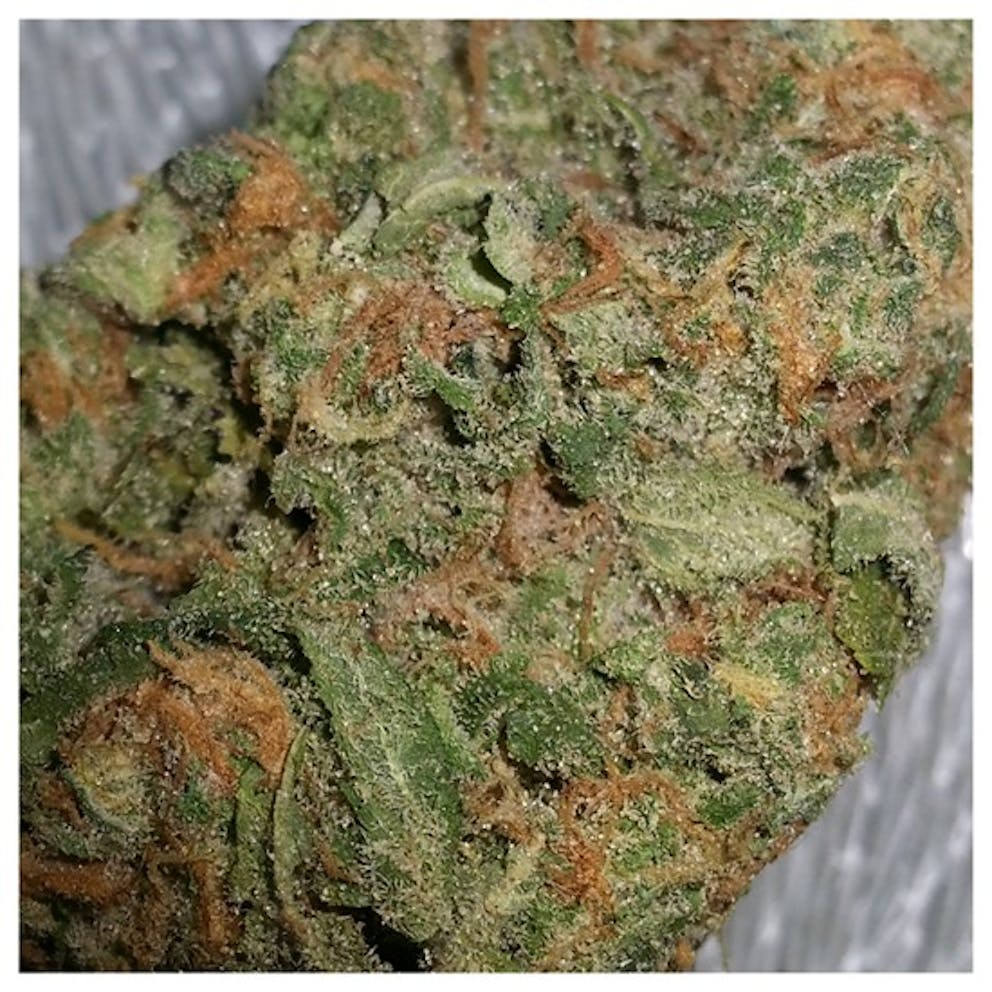 Photos of Super Blue Dream Weed Strain Buds | Leafly