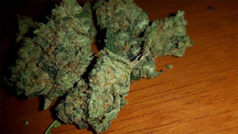 Super Blue Dream Weed Strain Information | Leafly