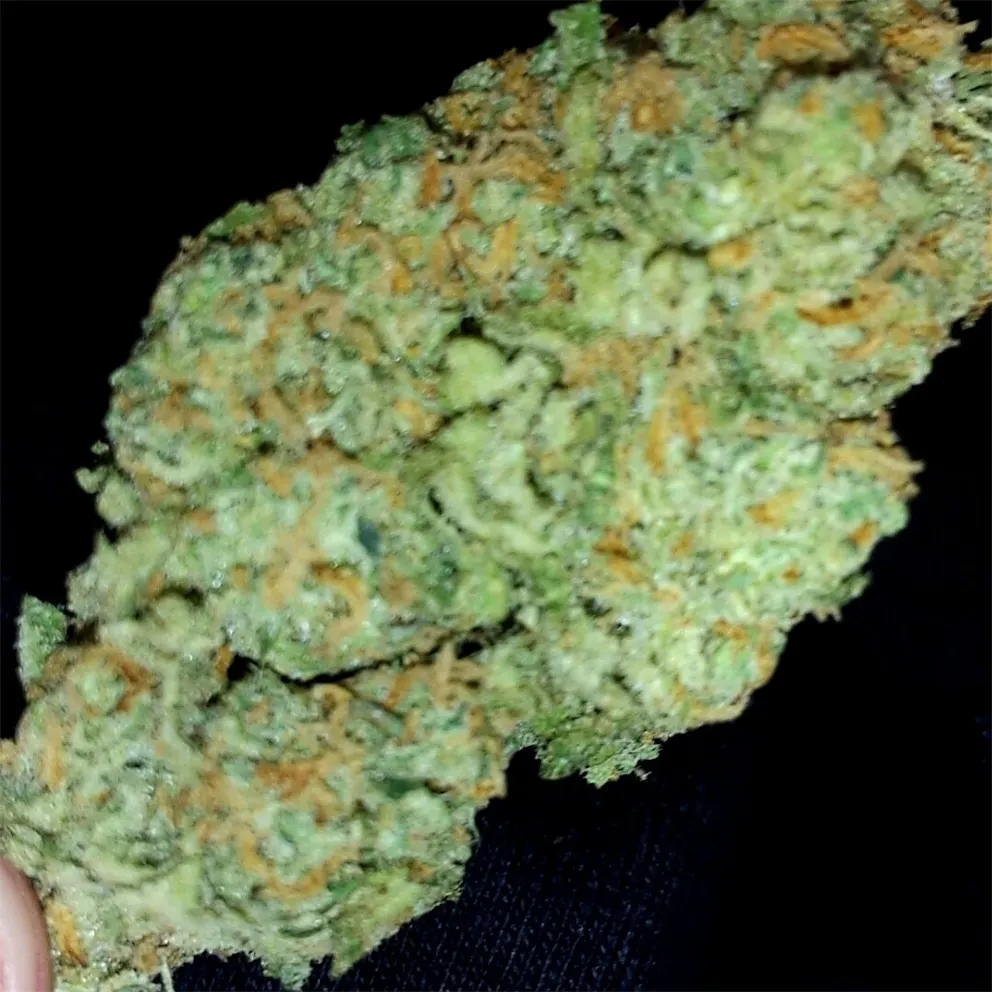 Photos Of Super Green Crack Weed Strain Buds Leafly