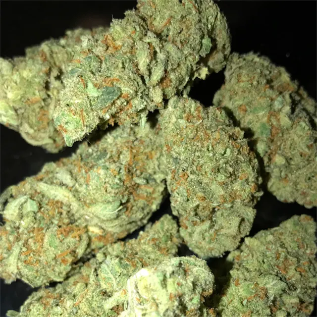 Photos of Super Lemon Haze Weed Strain Buds | Leafly