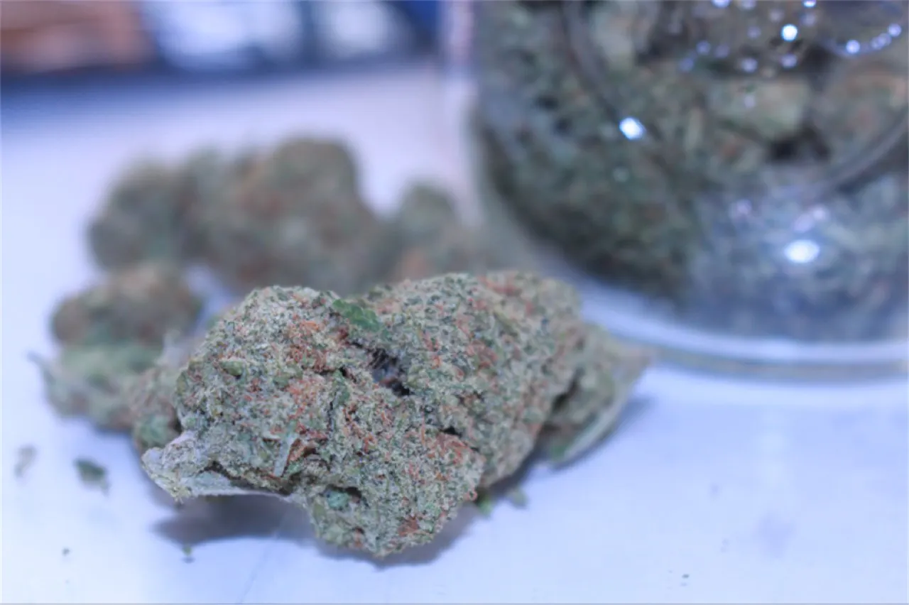 Photos of Super Lemon Haze Weed Strain Buds | Leafly