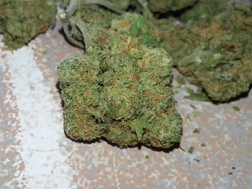 Photos of Super Lemon OG Weed Strain Buds | Leafly