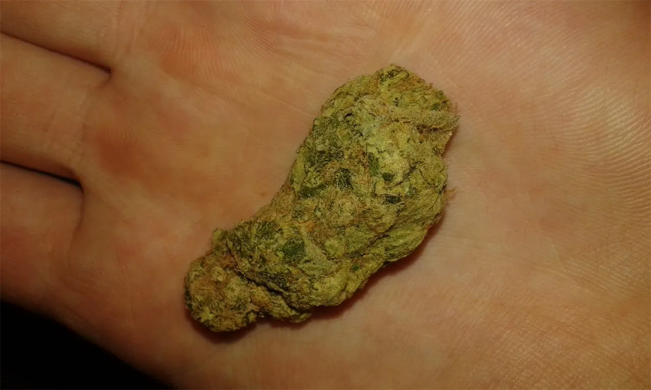 Photos of Super Skunk Weed Strain Buds | Leafly