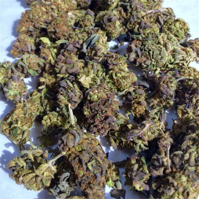 Photos of Super Skunk Weed Strain Buds | Leafly