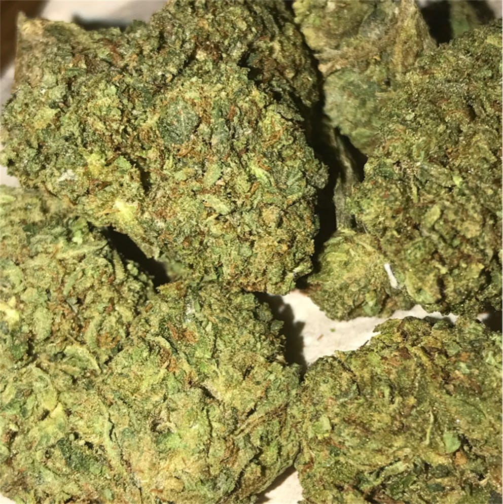 Photos of Super Skunk Weed Strain Buds | Leafly