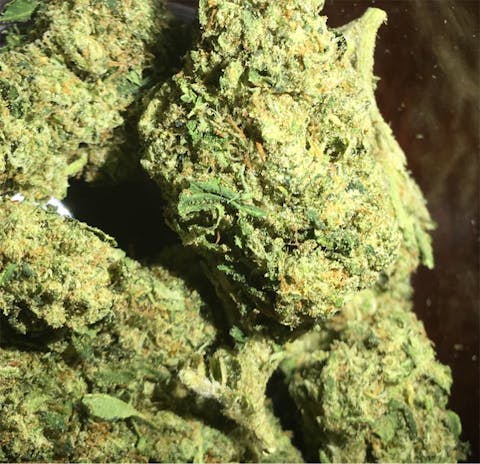 Snow Dog aka Super Snow Dog, Snowdog Weed Strain Information | Leafly