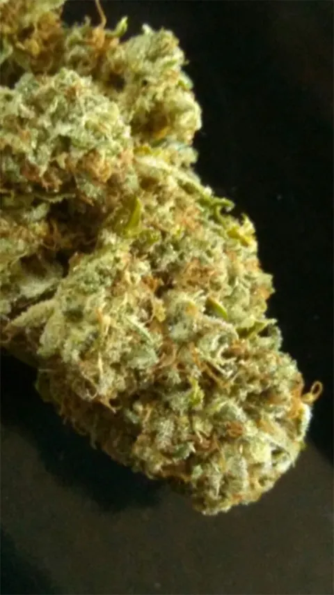 Super Sweet Weed Strain Information | Leafly