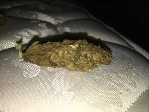 Swazi Gold Weed Strain Information | Leafly