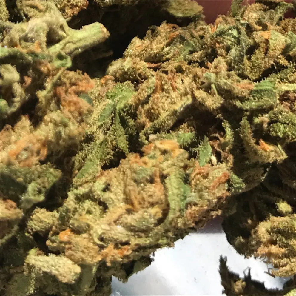 Photos of Sweet Cheese Weed Strain Buds | Leafly