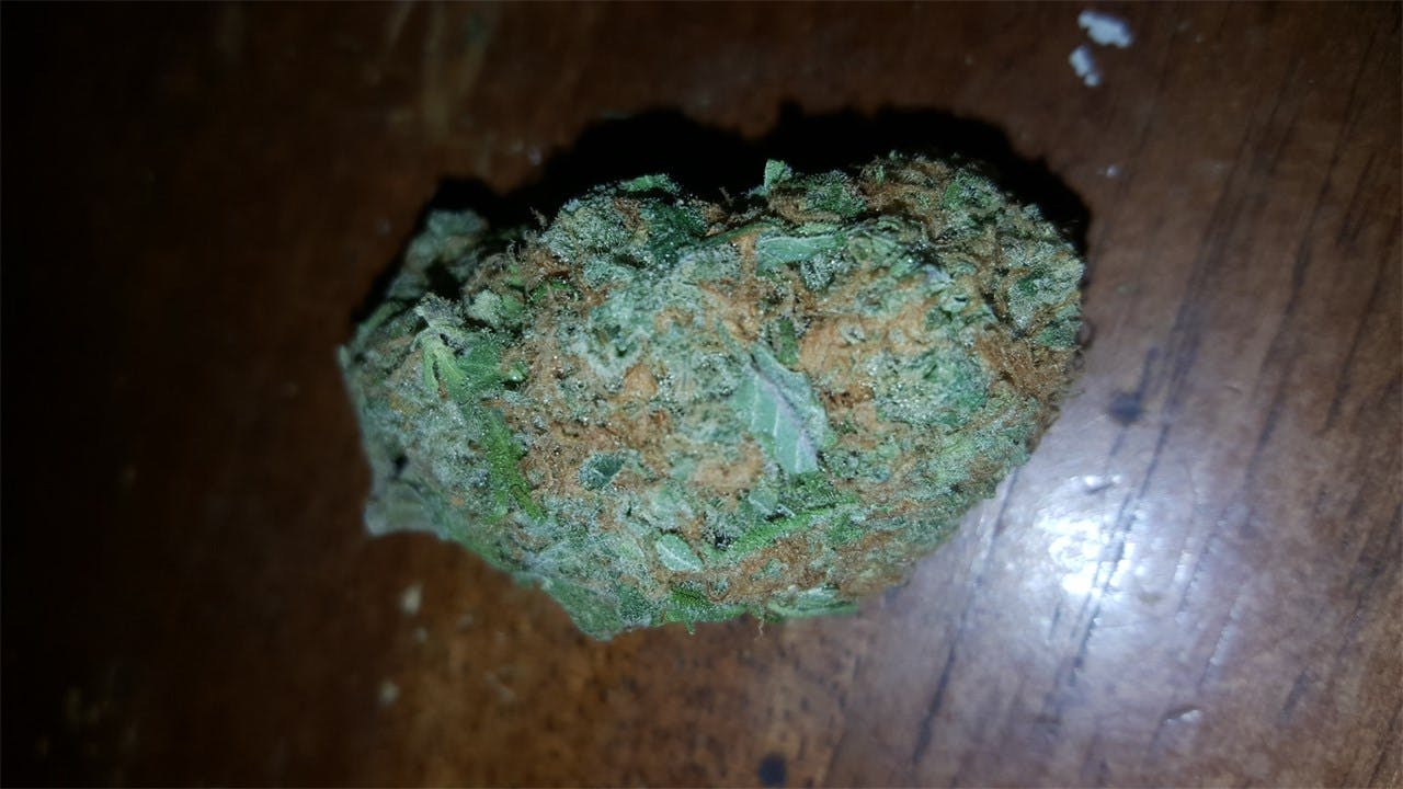 Sweet Tooth Weed Strain Information | Leafly