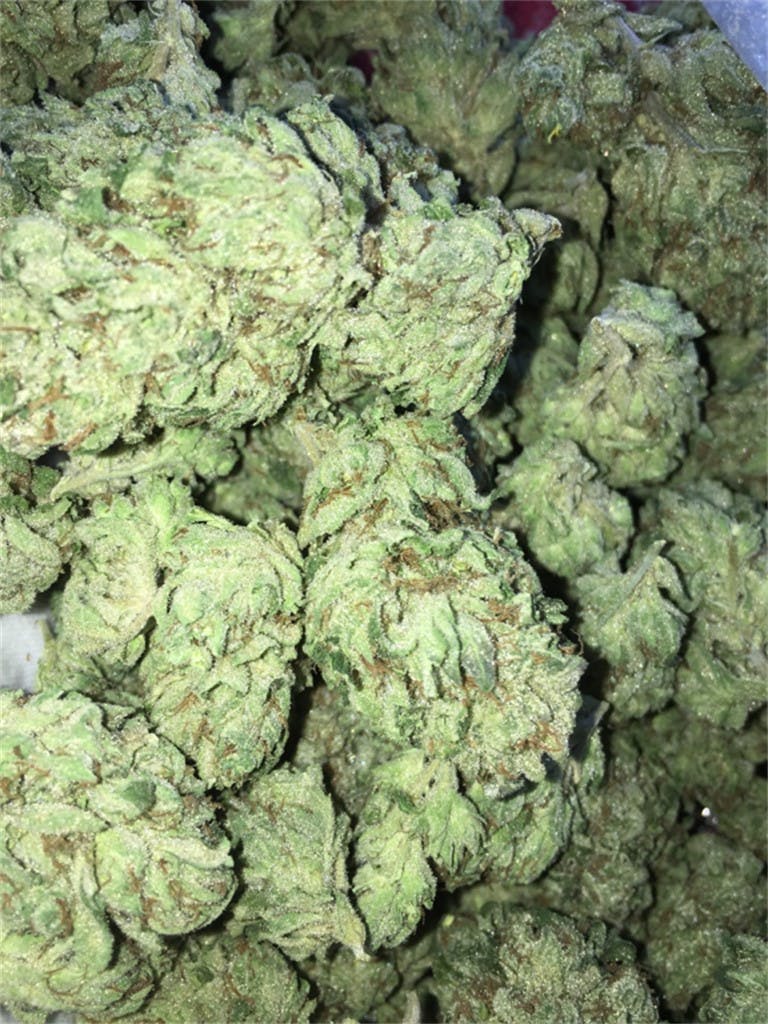 Tahoe Alien Weed Strain Information | Leafly