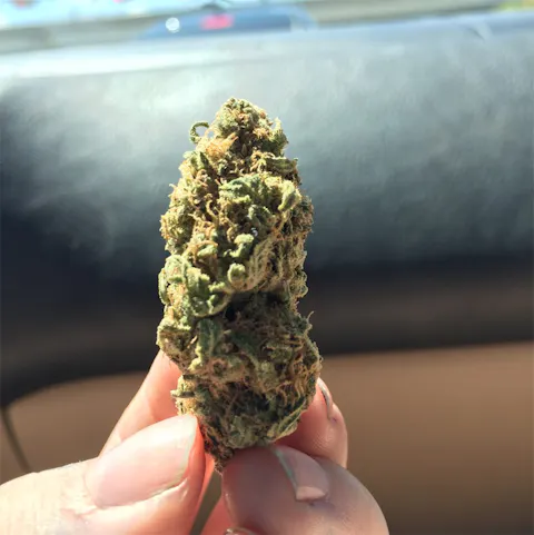 Tangerine Kush Weed Strain Information | Leafly