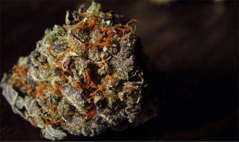 Tangie Weed Strain Information | Leafly